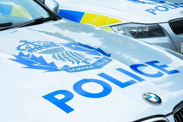 Lost control in Langlees: Speeding driver hit hard in pocket after ...