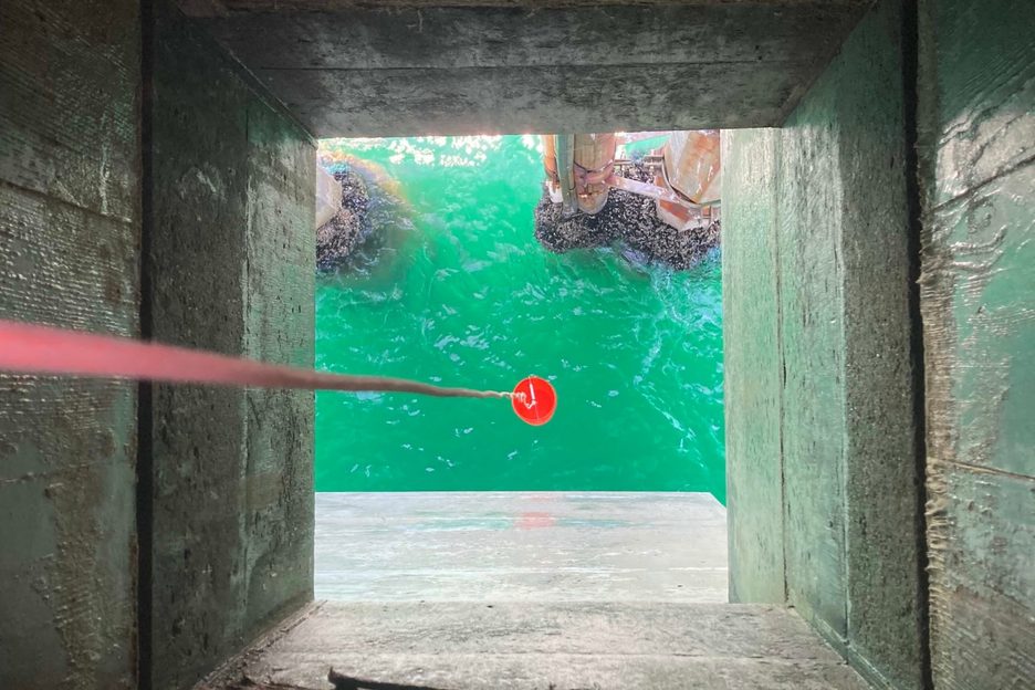 Scientists took water samples from a pier in California – and made a ...