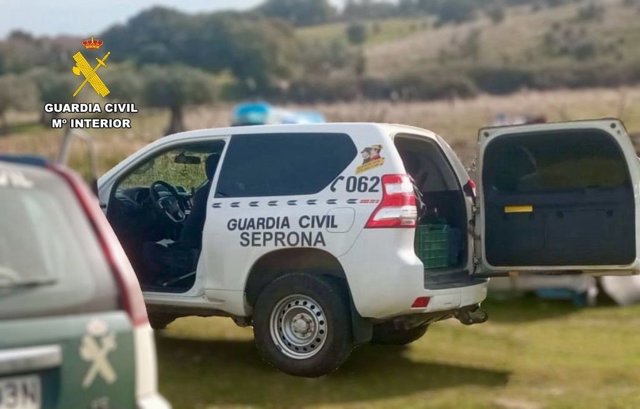 Sucesos.- La Guardia Civil rescata una cabra montesa atrapada en una ...