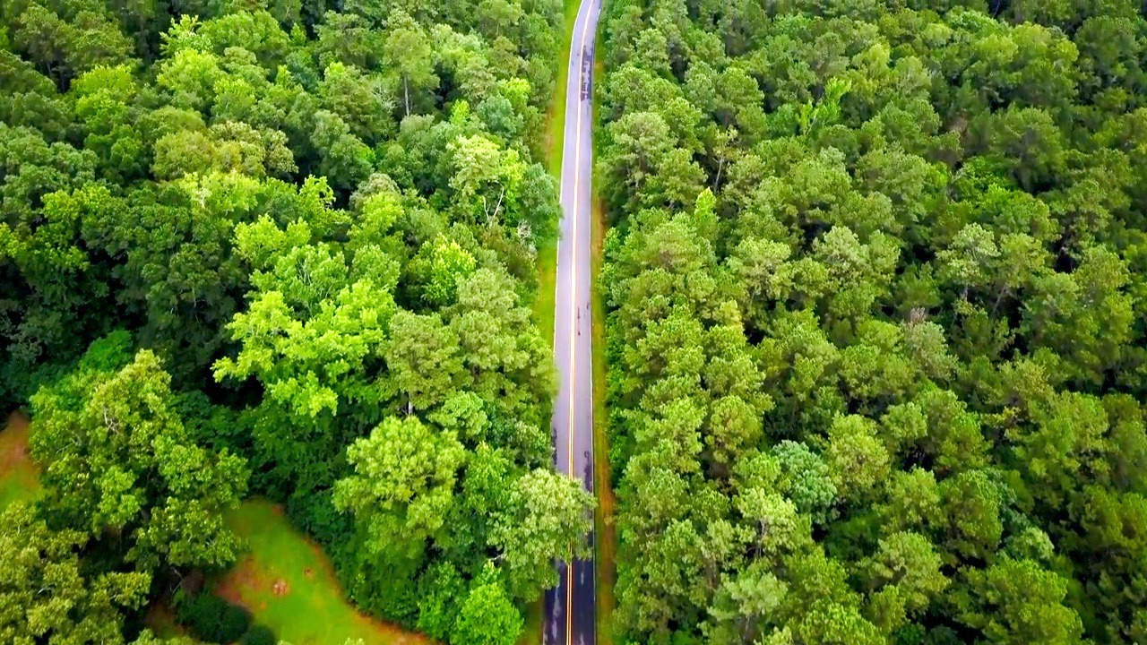 Inside a world without humans: What happens to cities