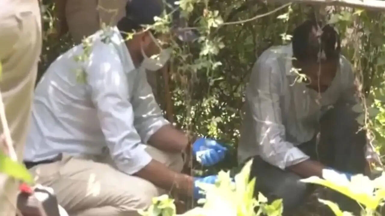 Severed human head found near railway tracks in Patna