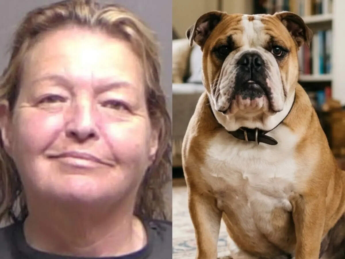 Florida grandmother unleashes pit bull as five kids flee into restroom ...