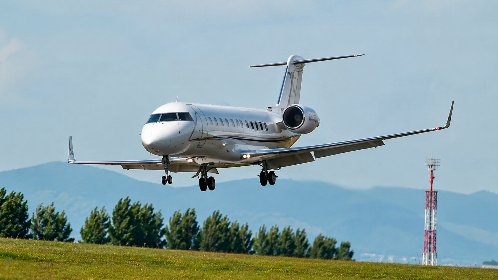 Pilot makes nose-down landing caught on camera