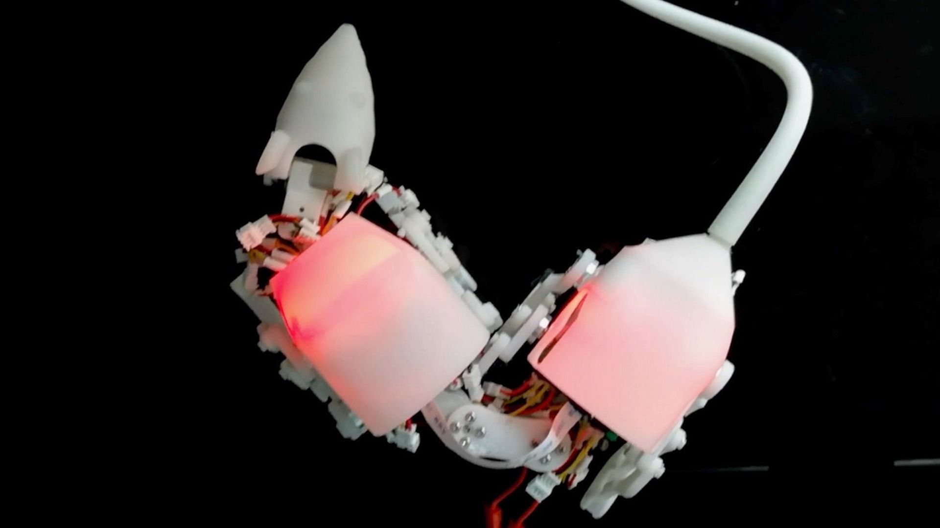 Robot-rat reaches tight spaces with remarkable ease