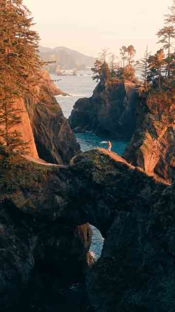 Oregon’s forests bathed in the last light of day