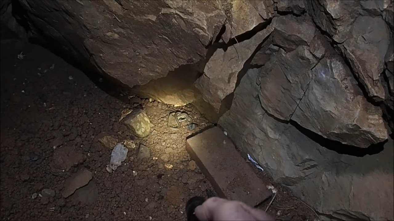 He climbed into a 1700s hand-dug well - then realized the stones were ...