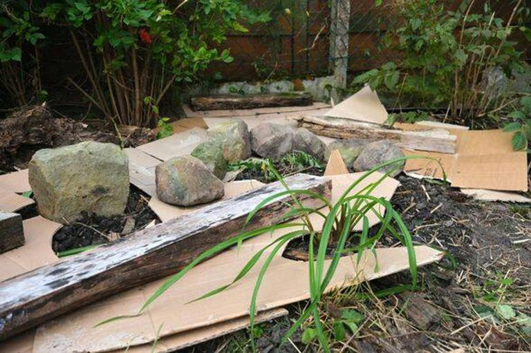 Gardeners urged to lay 1 household item on soil to stop garden weeds ...