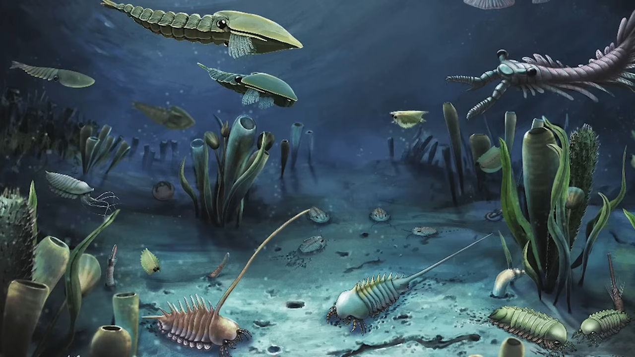 The 30-foot sea monster that hunted before dinosaurs existed