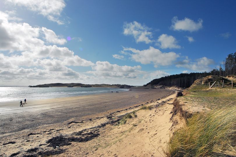 Snake warning at three of Anglesey's most popular beaches