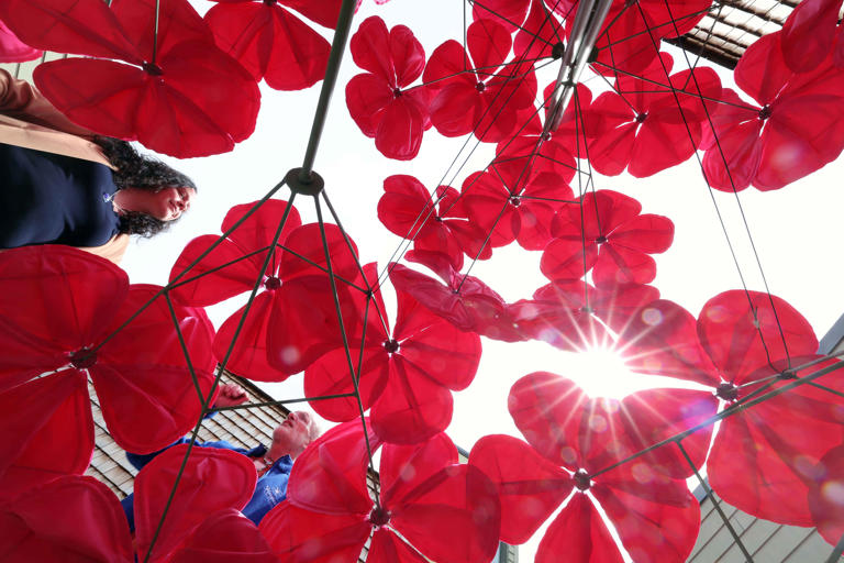 Massive fabric flowers take over Fuller Craft Museum until November
