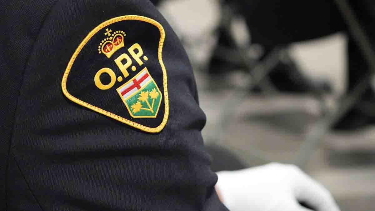 Ottawa-area OPP officer demoted for 3 years for sexually harassing ...
