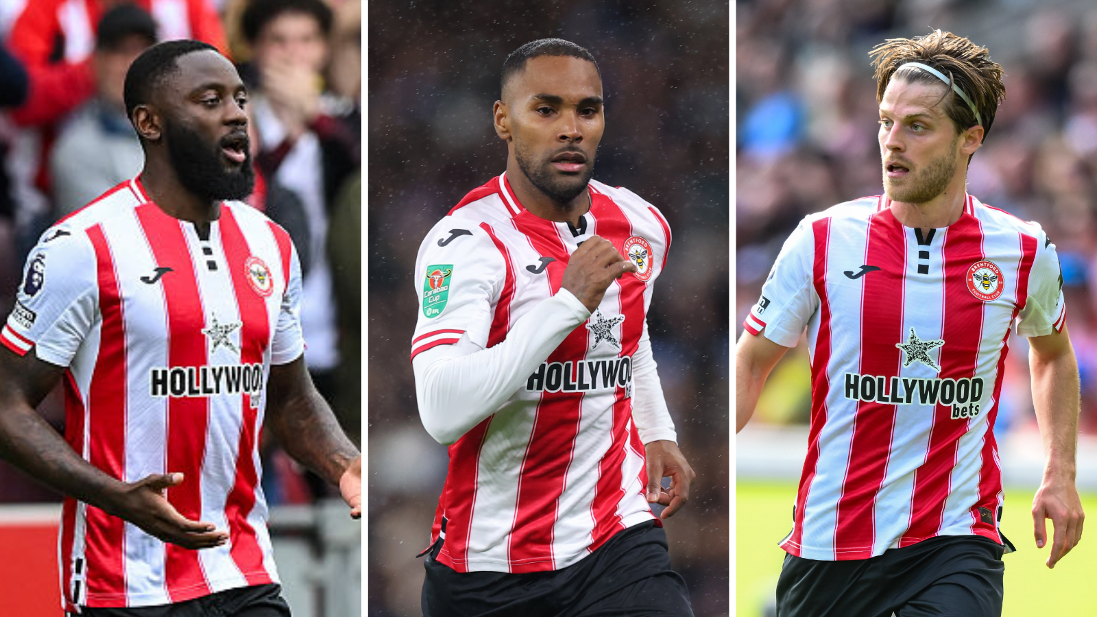 'Three true bees who represent everything the fans love'