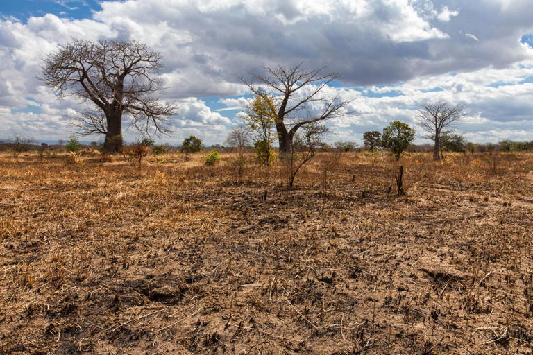 UN issue new warning over 'Super El Niño' that will have catastrophic ...