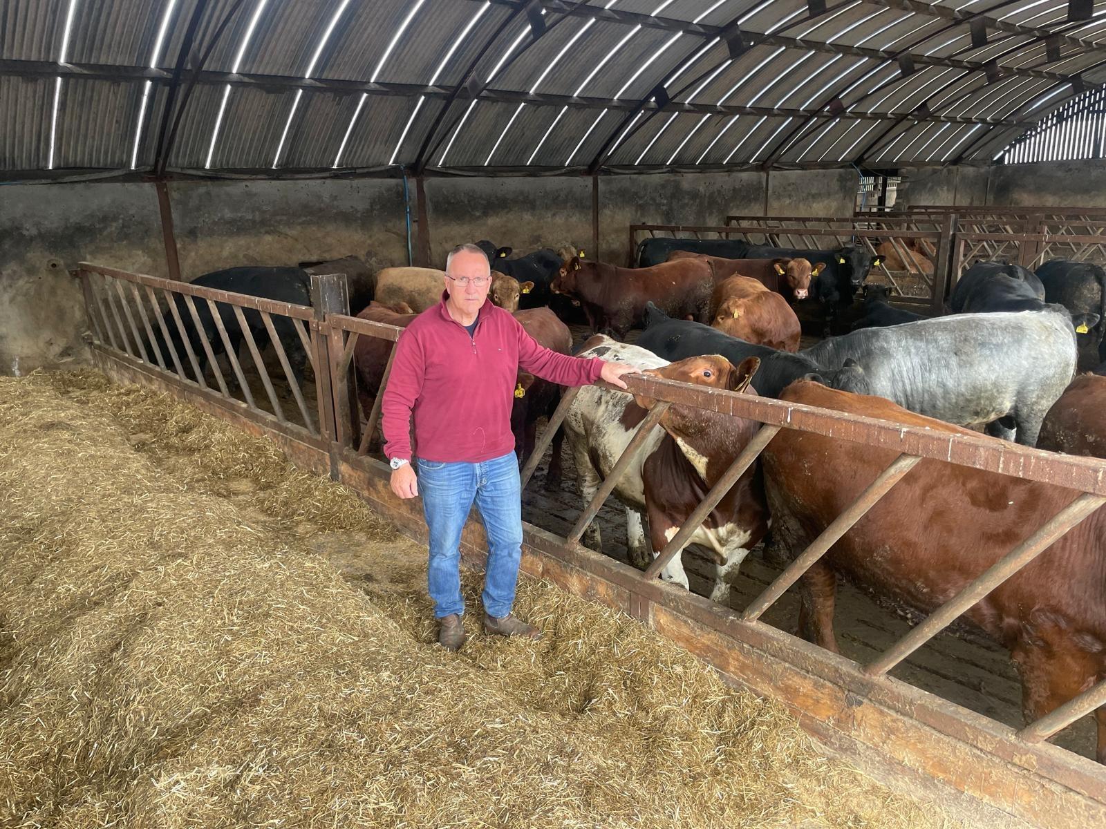 'Some farmers are now losing £350 or more on finished cattle ...