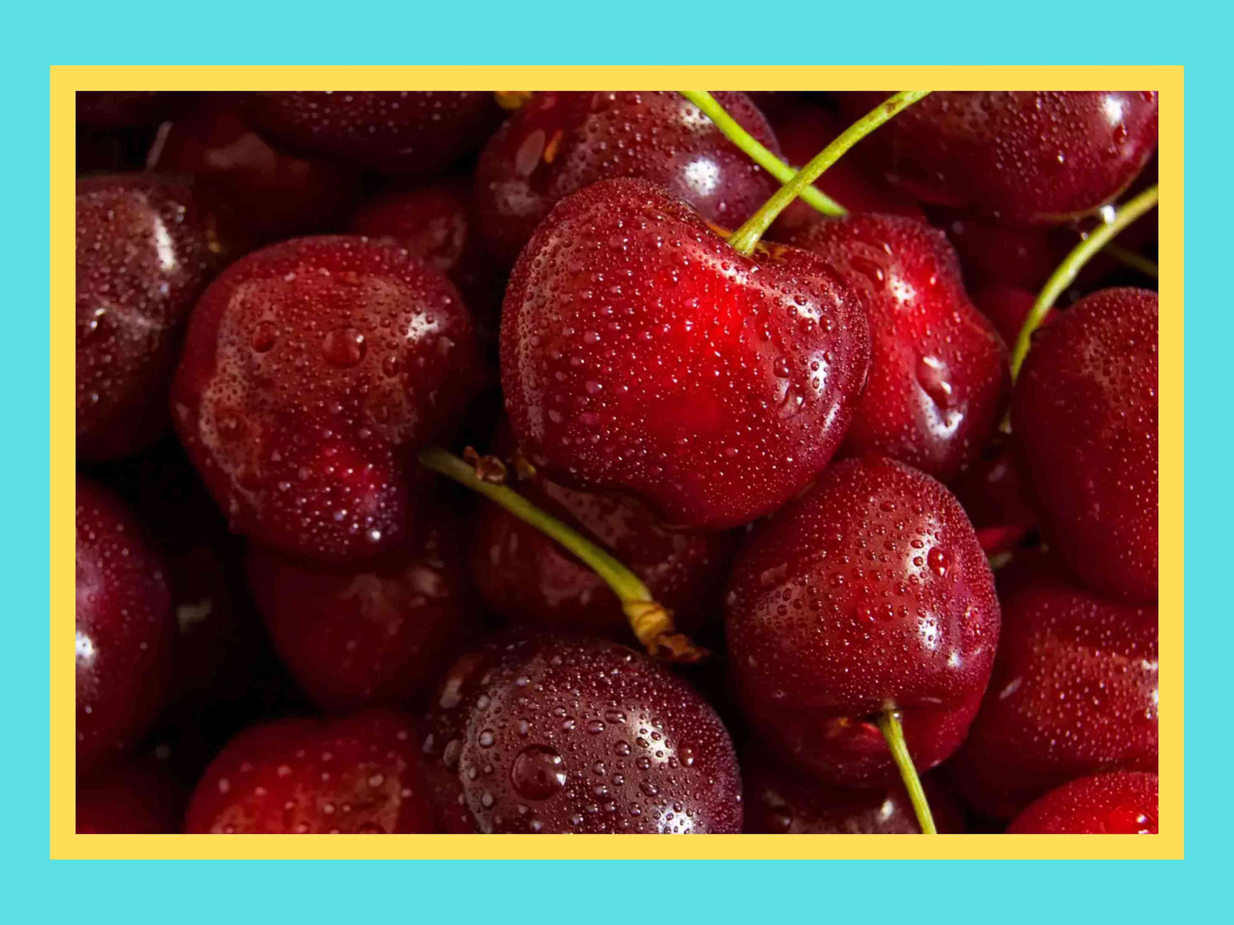 How to pick the sweetest cherries, according to a farmer