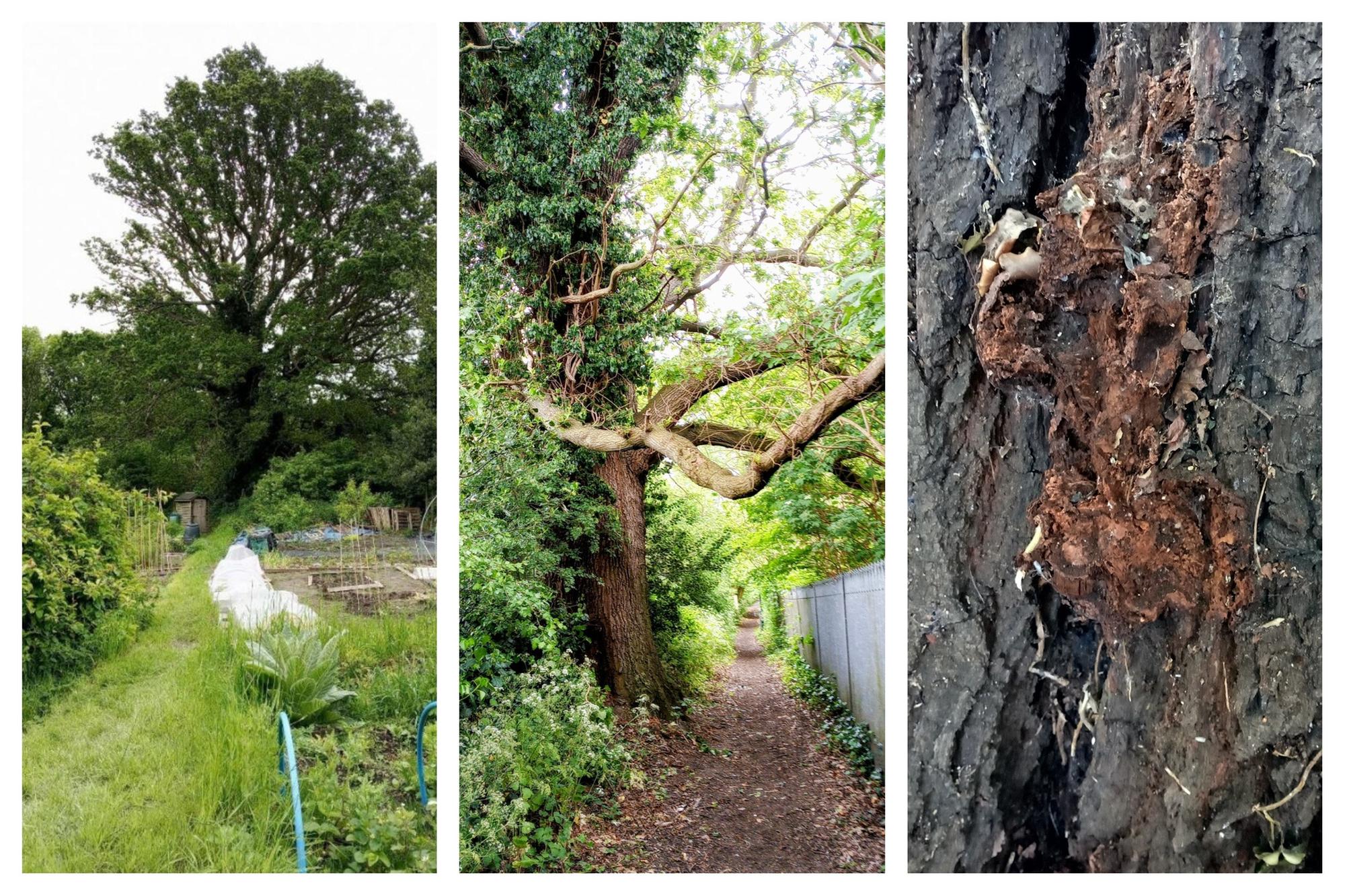 'We need to keep this grand piece of our heritage alive' - Warwick ...