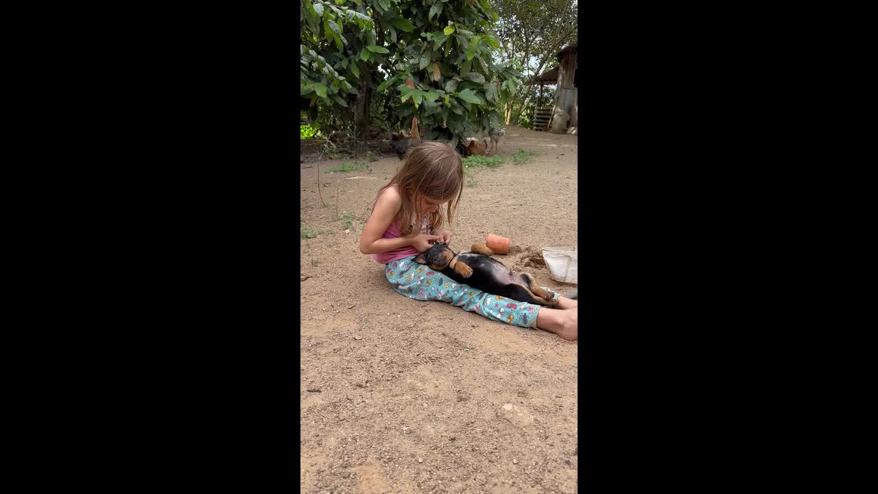 Puppy enjoys a tender moment relaxing in toddler's lap