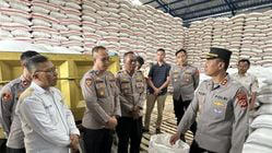 Garut siapkan pabrik pakan ternak, manfaatkan produksi jagung melimpah
