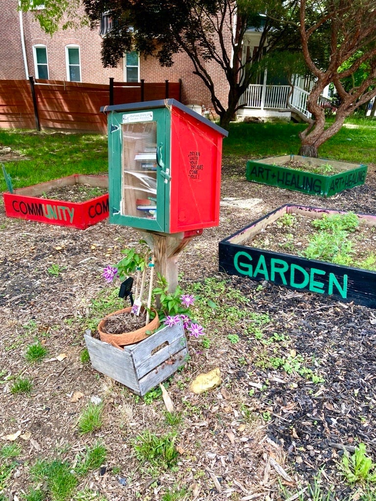 Keep food costs down by growing in Delaware's community gardens