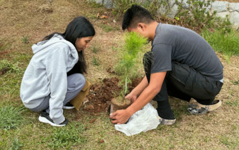 Baguio couples required to plant love trees before they say 'I do'