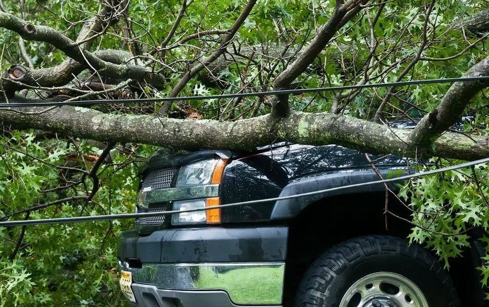 Margaret River mother survives tree strike in WA superstorm