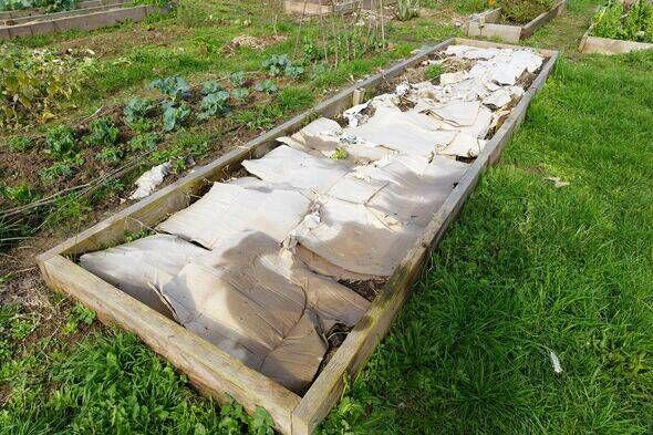 Garden weeds will wilt by laying 1 household item on the soil - no ...