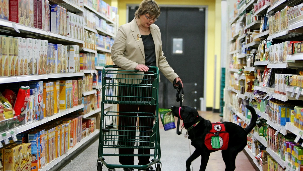 Why our dogs understand us so well