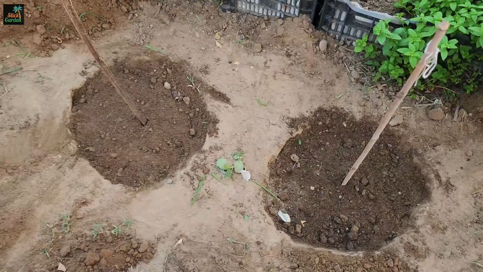 How to fix poor garden soil: 2 easy methods for nutrient-rich dirt