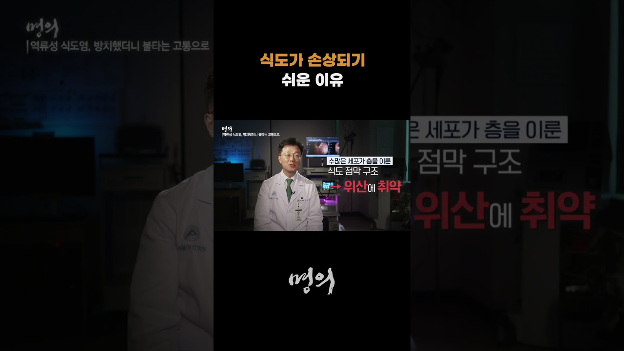 식도가 손상되기 쉬운 이유 #ebs건강 #건강 #명의