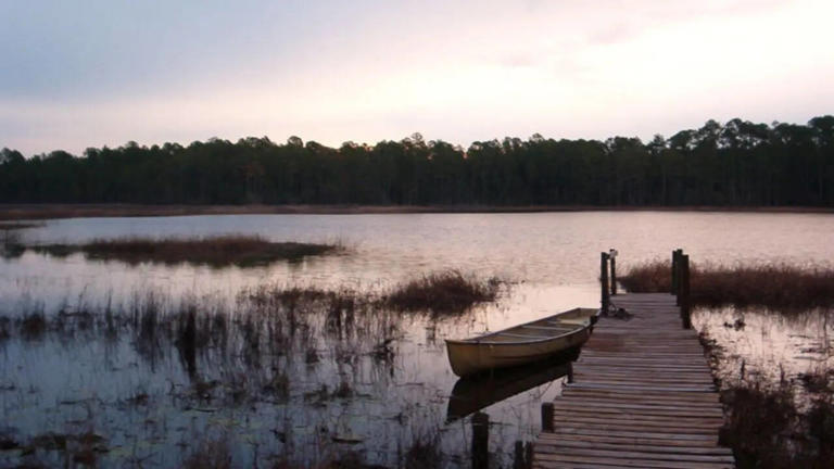 6 alligator-infested rivers in the US: From the St. Johns River in ...