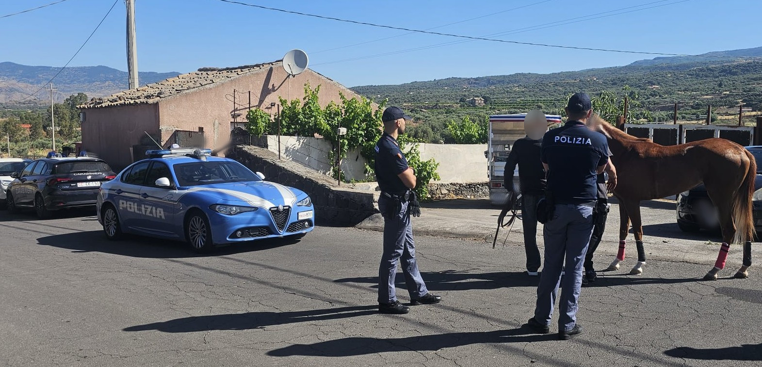 Corse clandestine di cavalli, blitz tra Adrano e Paternò