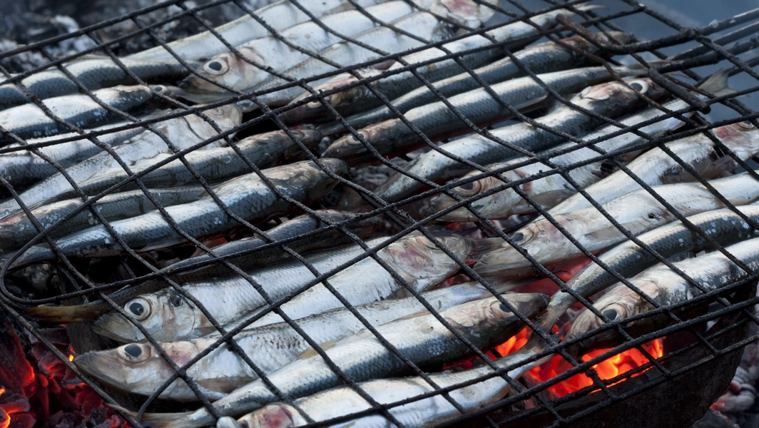15 top fish varieties perfect for frying