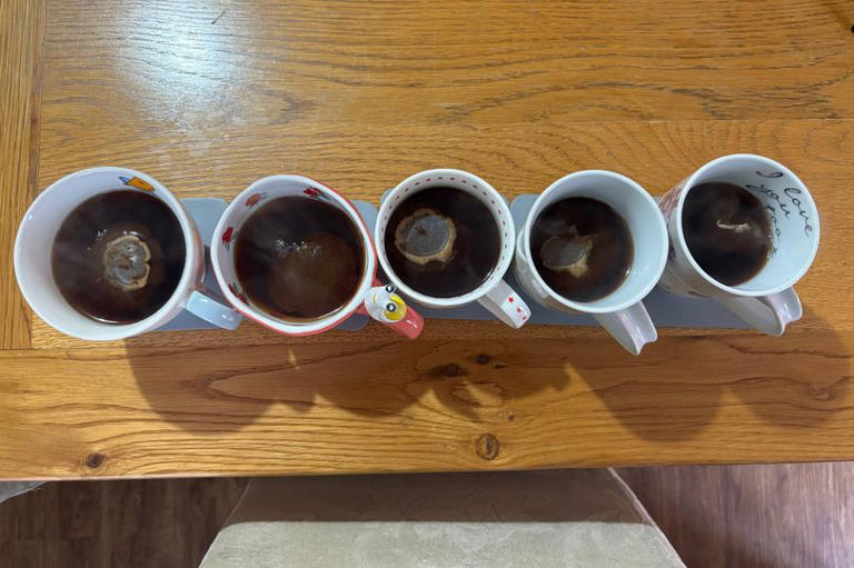 I tested Yorkshire Tea v PG Tips, Tetley and supermarket brands - there ...