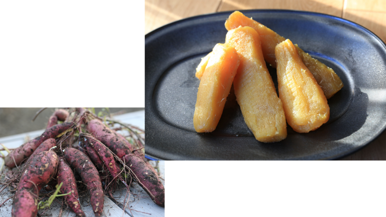 Traditional treat, crispy twist: Dried sweet potato chips from Japan
