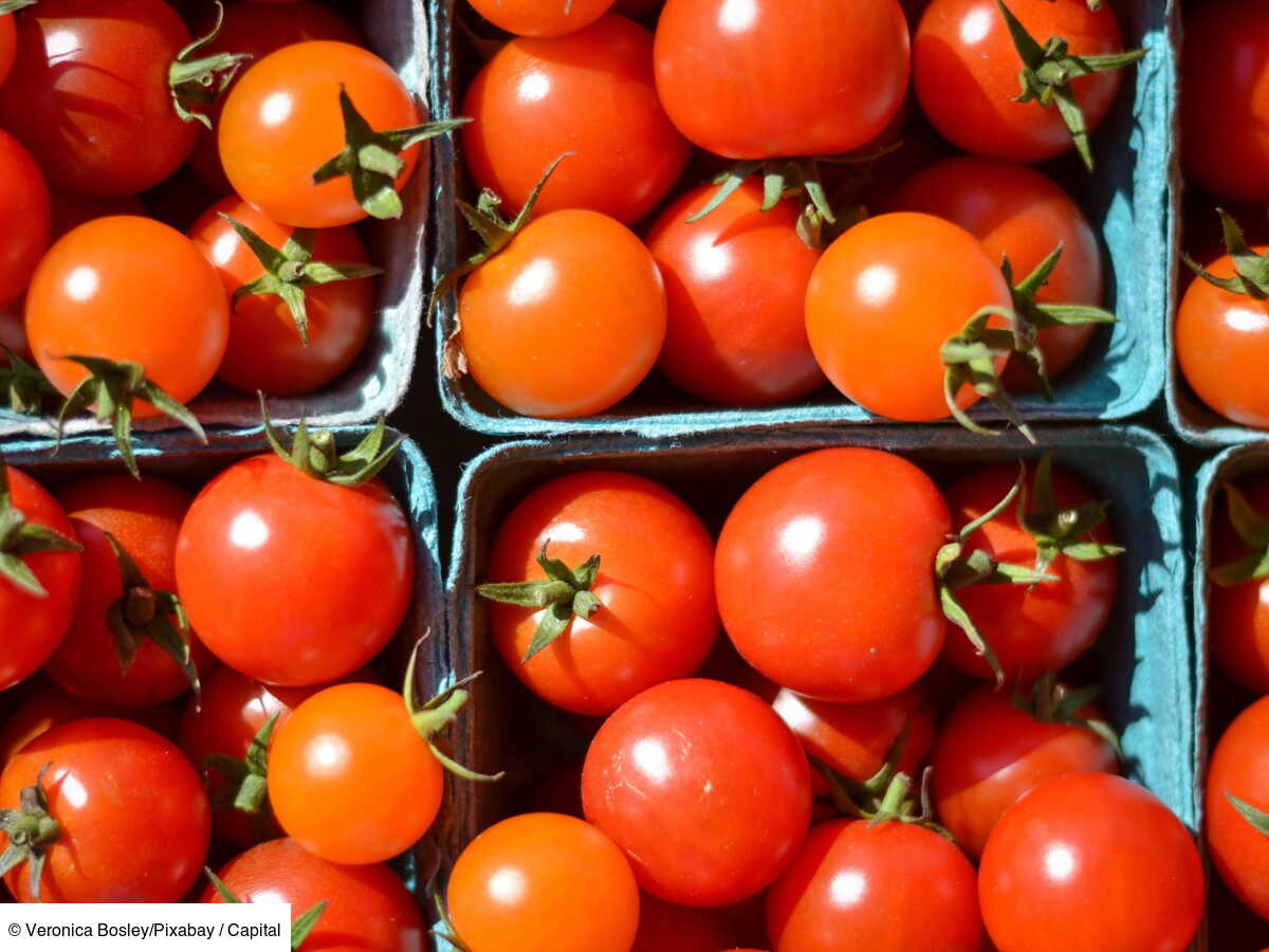 Importation de tomates cerises du Maroc : les agriculteurs français ...