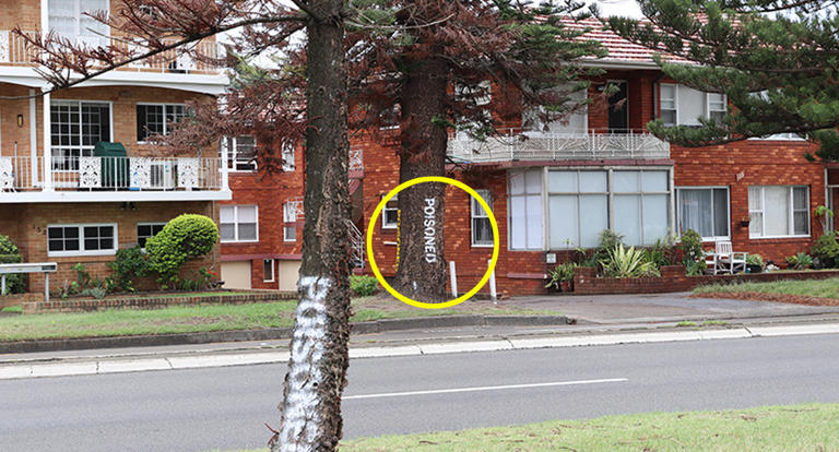 Aussies called to action after 'shocking' tree act at beachside suburb ...