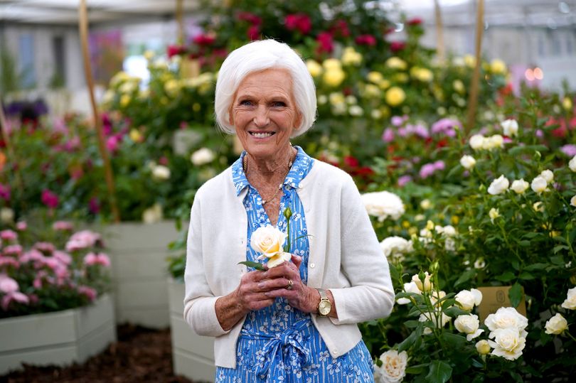 Dame Mary Berry shares emotional details about dealing with loss of son ...