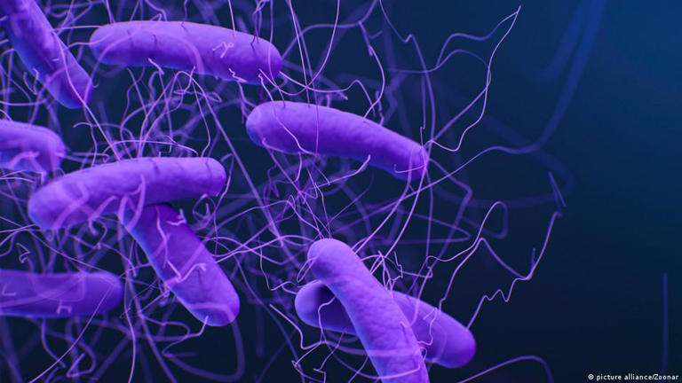 Fecal transplants: Study is a 'wake-up call' for the field