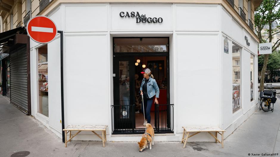 Dogs get a taste of French flair in new Parisian cafe trend