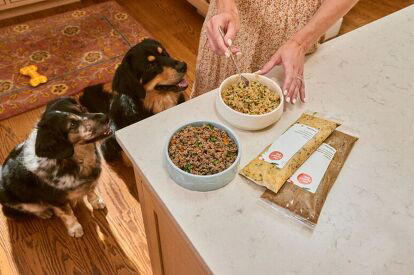 Fresh dog food backed by real science and smarter nutrition