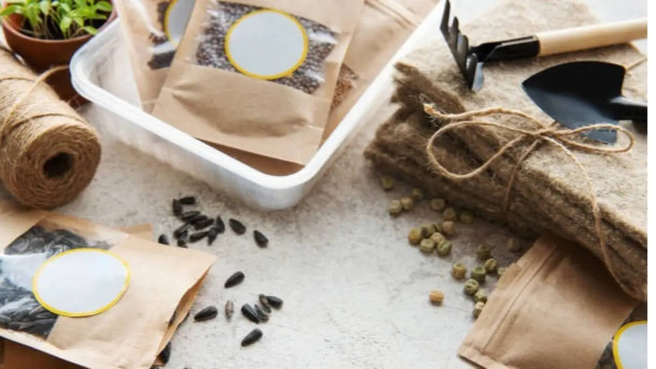 How to store plant seeds carefully: 6 simple tips to keep them viable ...