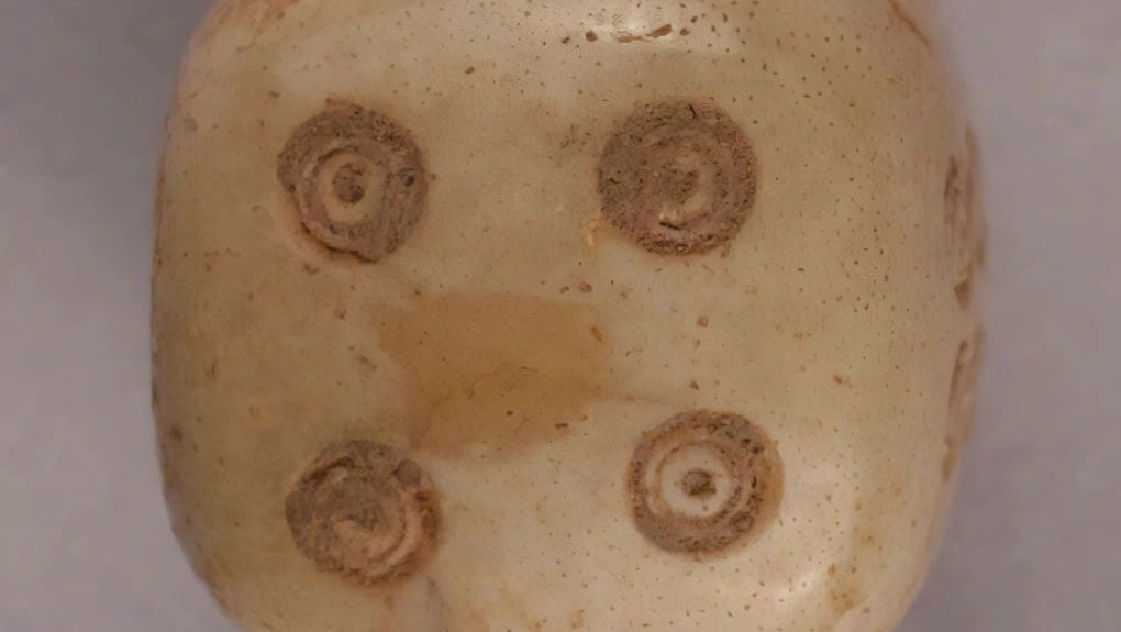 Ancient Native dice rewrote gaming history