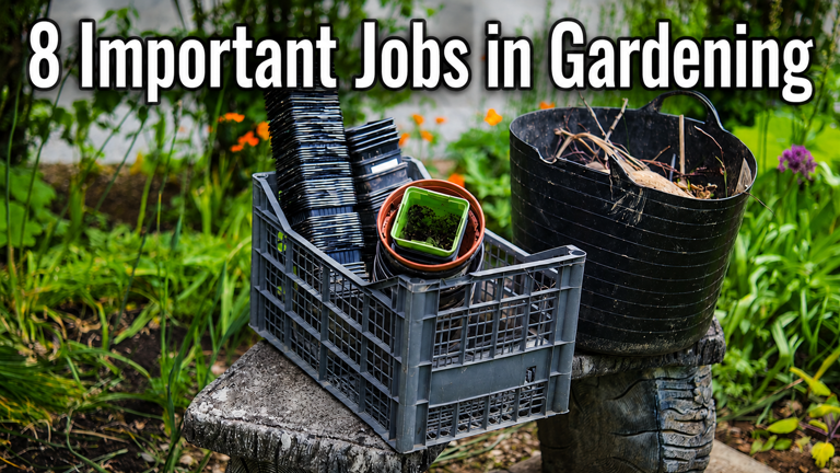 8 essential gardening tasks every gardener should prioritize