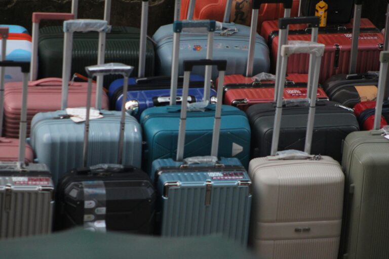 Zwitserse douane controleert reiziger met 55 stuks bagage