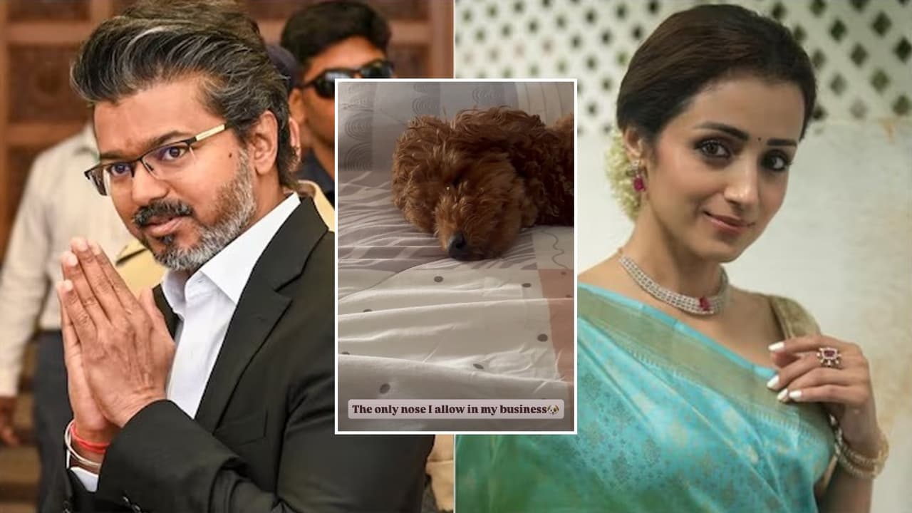 What did Trisha Krishnan mean? Actress shares witty post amid ...