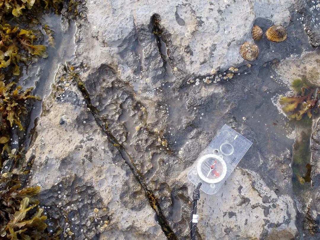 15 of the best places in the world to see dinosaur tracks