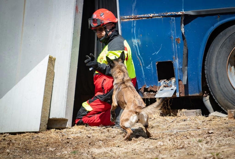 Muğla NAK arama kurtarma köpekleri Macaristan’da sahaya indi