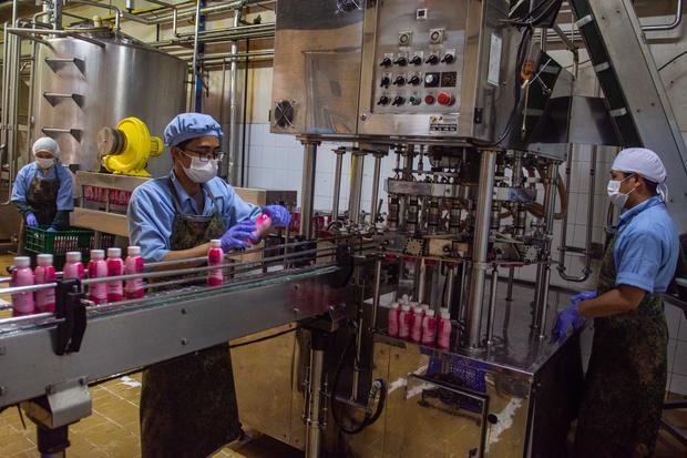 MBG butuh 4,8 miliar kemasan susu pada 2026, produksi nasional baru ...