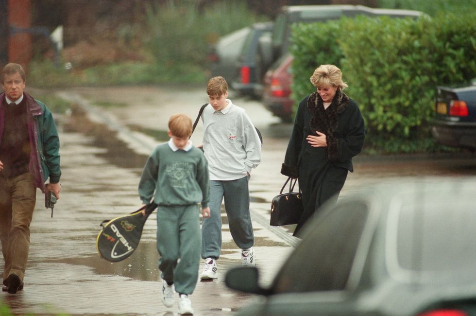 Diana hoped William and Harry would learn from her Panorama interview