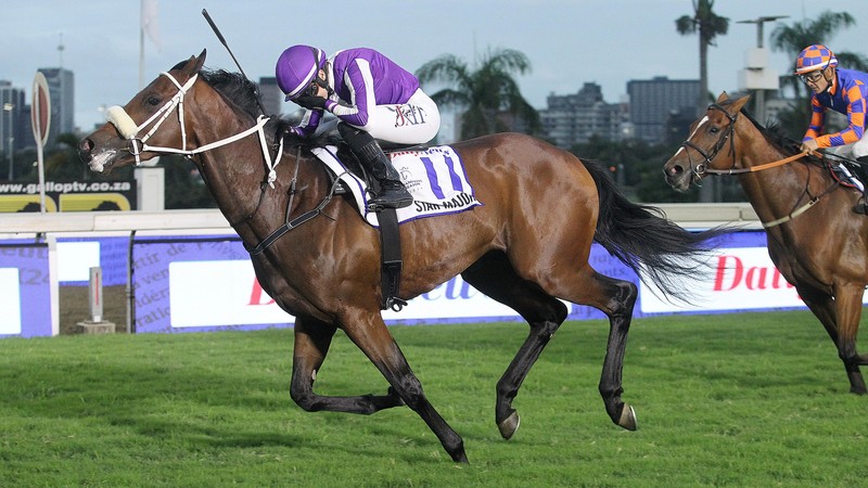 Star major triumphs at the 2023 Daily News 2000: A day of racing and ...